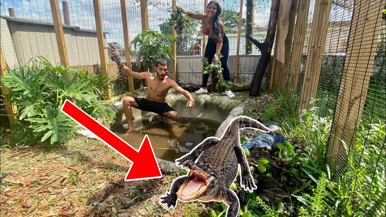 CATCHING ALL MY GATORS + DEEP CLEANING THE ENCLOSURE! *CRAZY* - YouTube