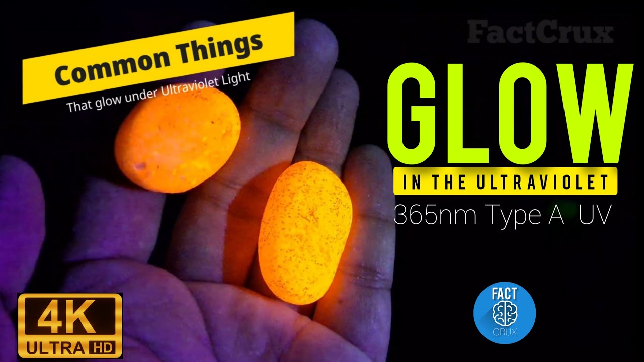 Things that glow in blacklight | Black light Experiments #Blacklight # ...