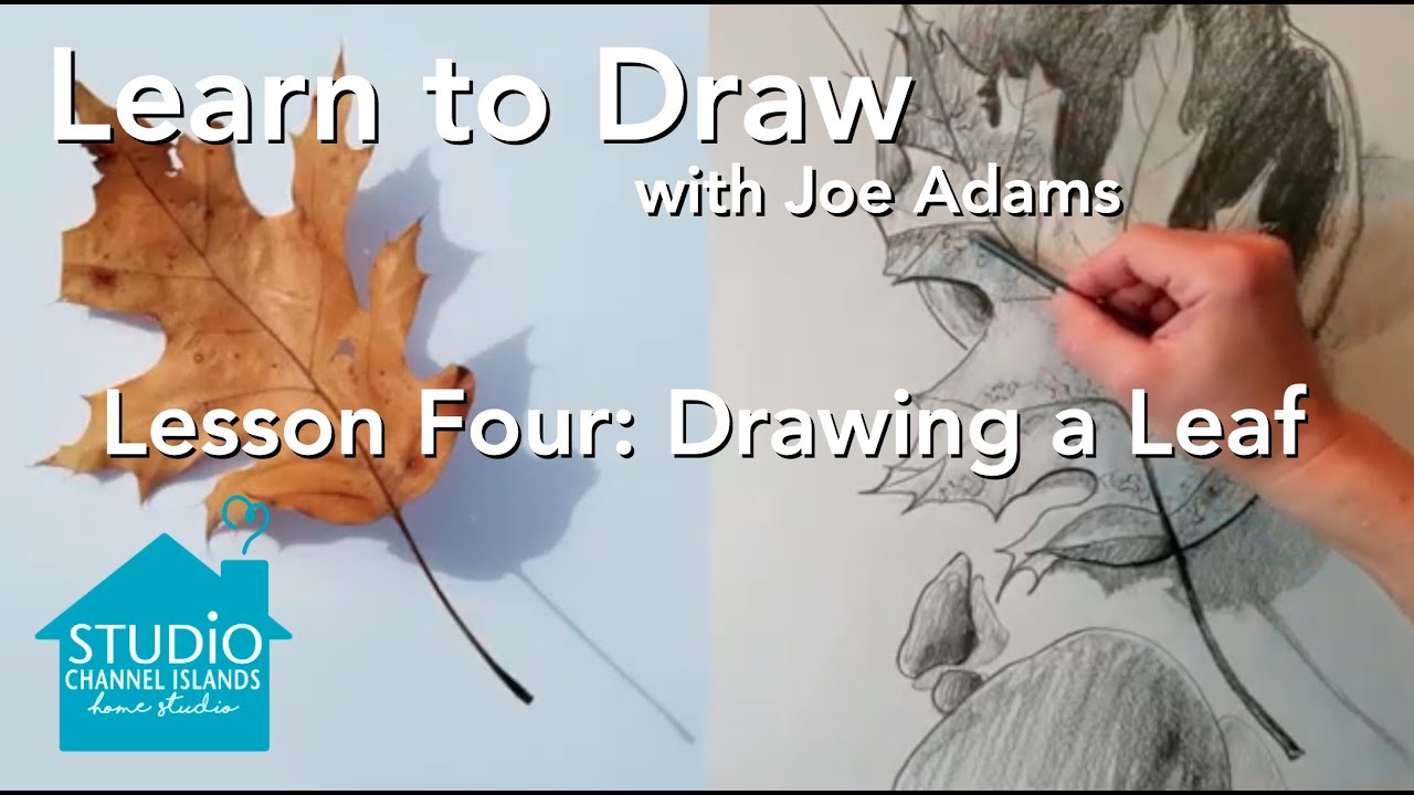 SCIART Home Studio | Learn to Draw Lesson 4: Drawing a Leaf with Joe ...
