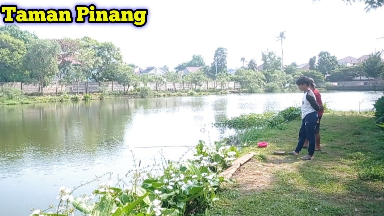 Taman Pinang, begini kondisinya setelah kemarau - YouTube