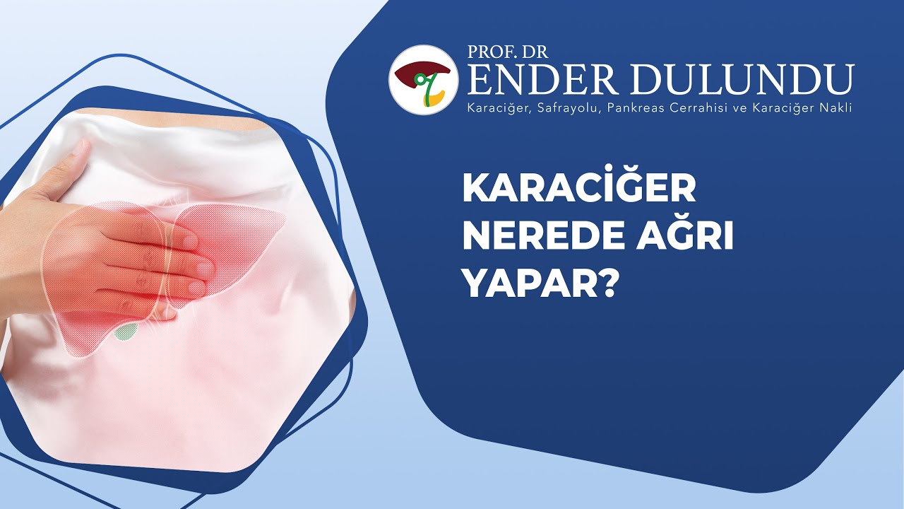 Karaciğer nerede ağrı yapar? I Prof Dr Ender Dulundu - YouTube
