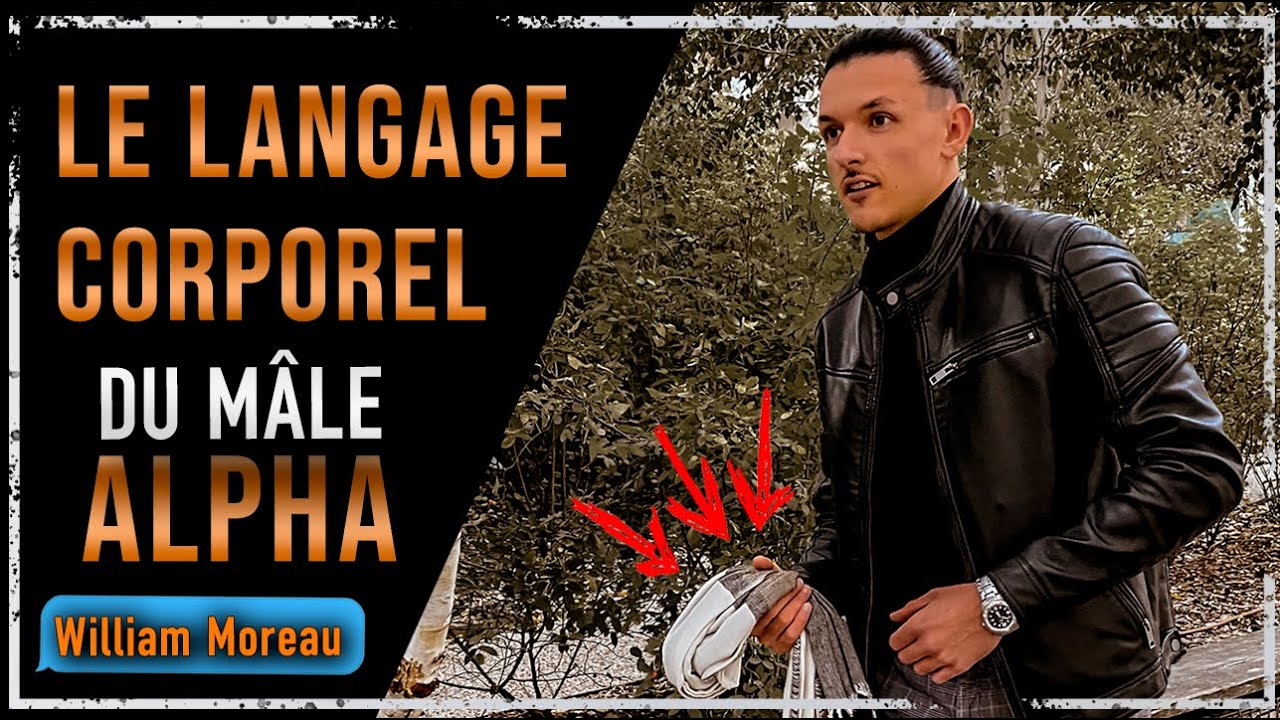 LANGAGE CORPOREL D'UN MÂLE ALPHA : 5 SIGNES POUR RECONNAITRE UN MÂLE ...