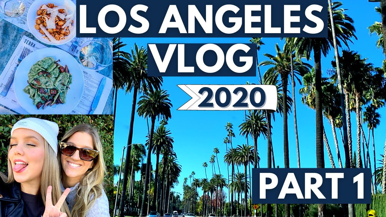 Los Angeles Trip 2020 Vlog | Pt.1 During Pandemic, Beverly Hills ...