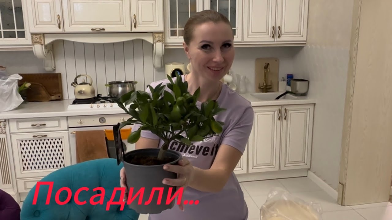 КУПИЛИ УЧАСТОК в Краснодарском крае Декоративная штукатурка Готовим