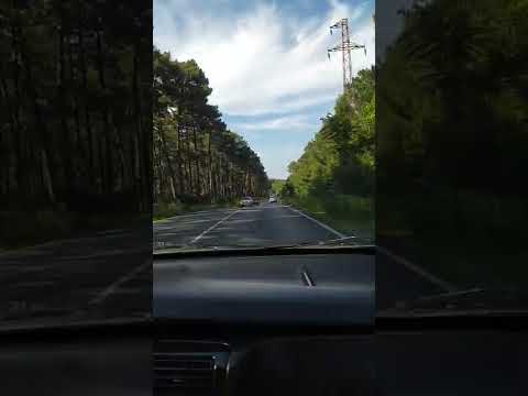 Toyota Corona gezmeleri