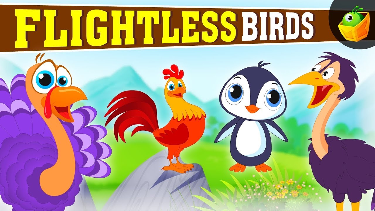 Easy To Learn Bird Names Spelling In English Flightless Birds easy-to-learn-bird-names-spelling-in-english-flightless-birds