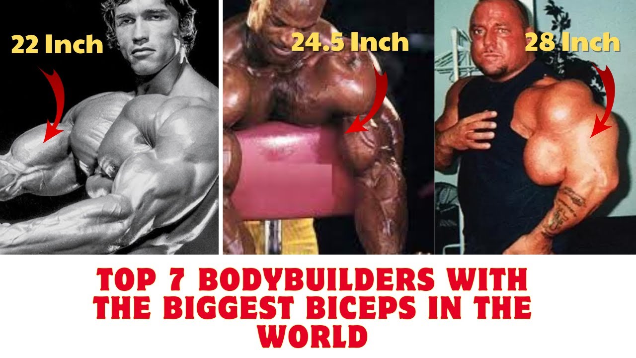 Top 7 Bodybuilders with the Biggest Biceps in the World - YouTube
