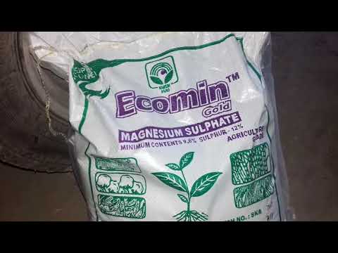 Magnesium Sulphate