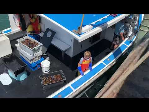 Captain In Training Wyatt Jewell - YouTube