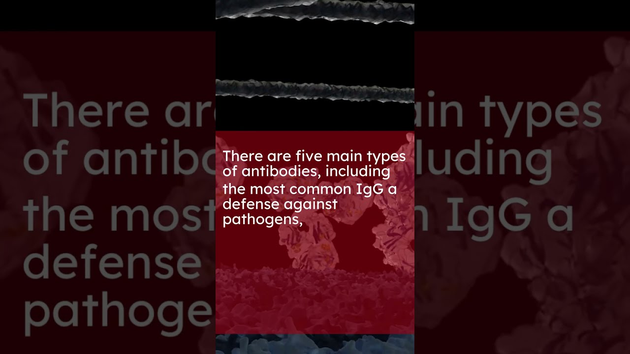 3D animations – biolution