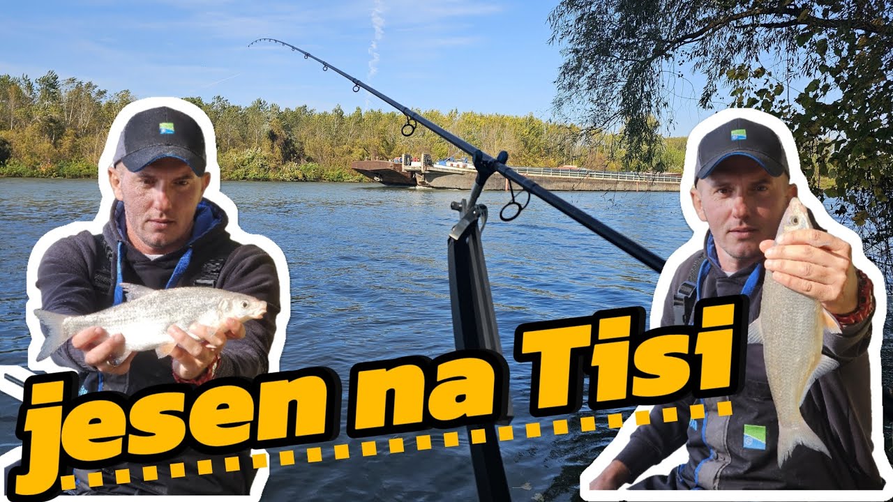 Jesenje feeder pecanje na Tisi, feeder pecanje deverike i sljivara 19. ...