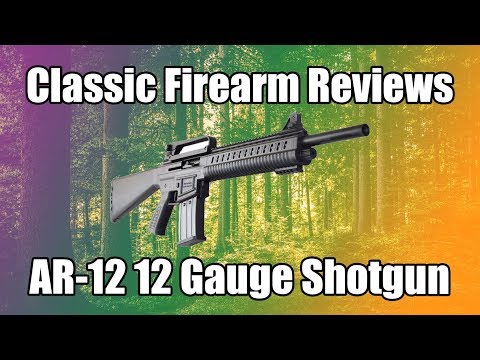 Classic Firearms Reviews - AR-12 12ga Shotgun Live Fire and Review ...