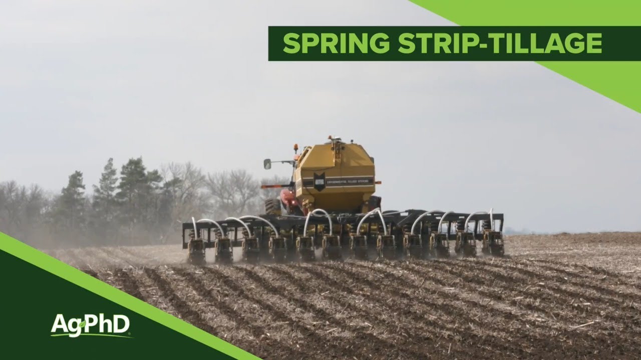 Spring Strip-Tillage (From Ag PhD Show #1142 - Air Date 2-23-20) - YouTube