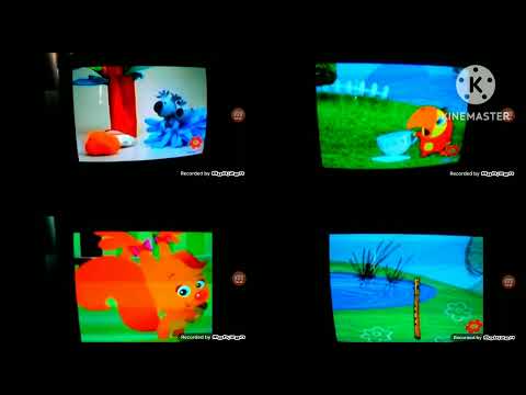 Ashlie lucero baby first tv random maze 3