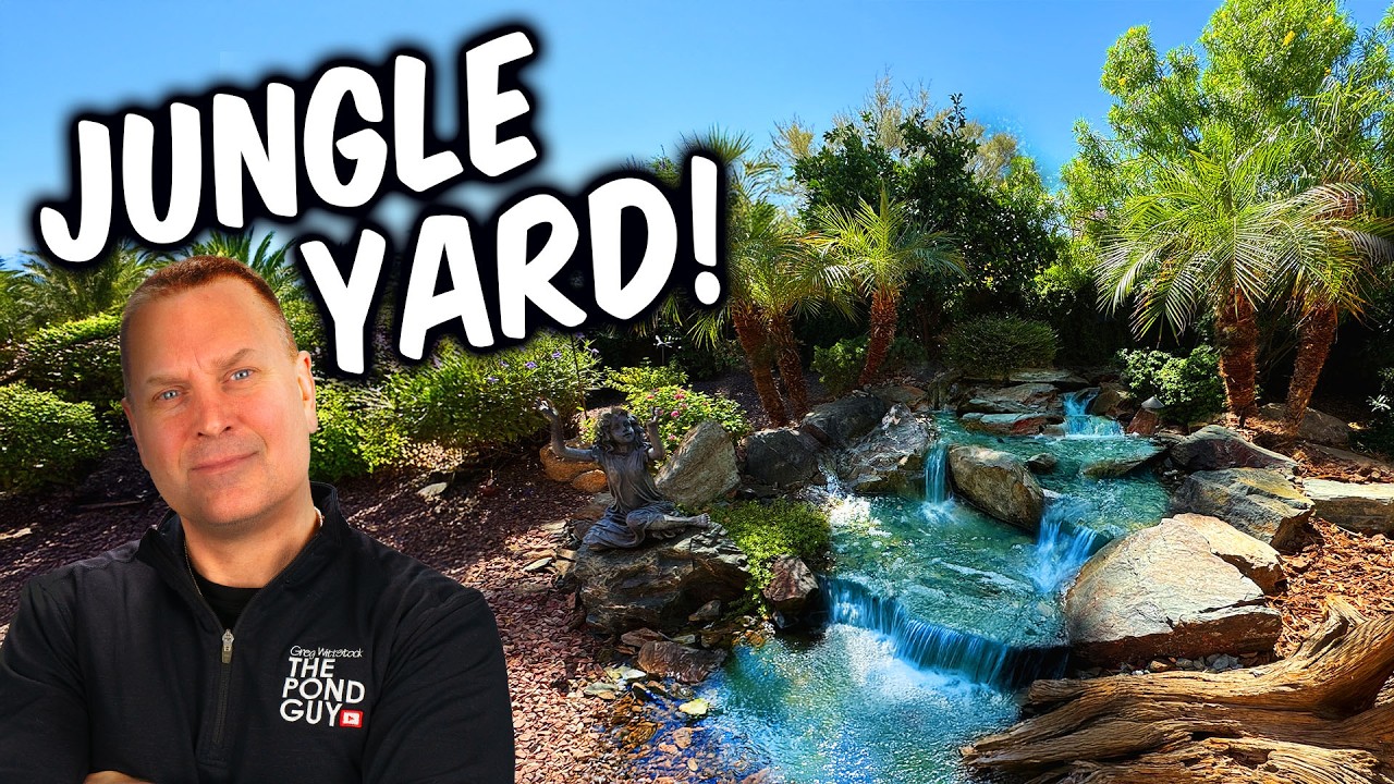 10ft Arizona Jungle Backyard Waterfall - YouTube