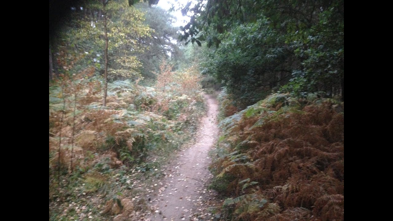 Marsham Heath (Teaser Video) - YouTube