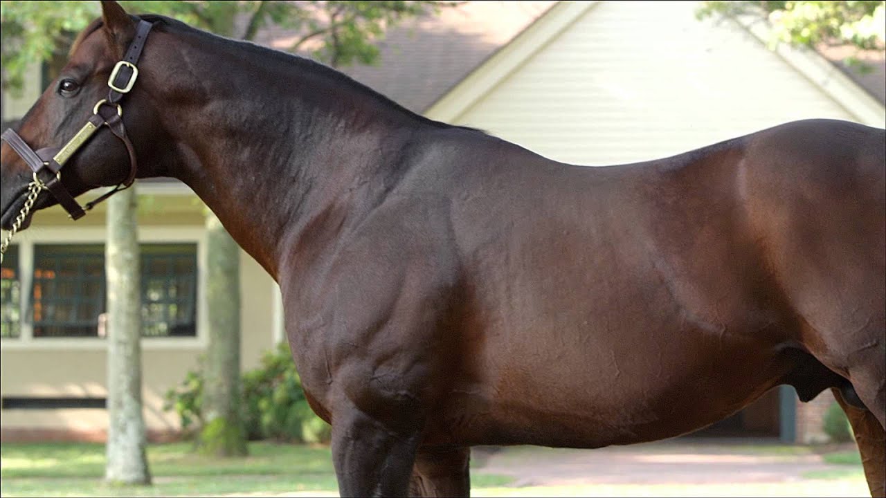 CANDY RIDE 2015 - YouTube