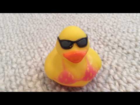 A Waste of 30 seconds #1 Bikini Duck