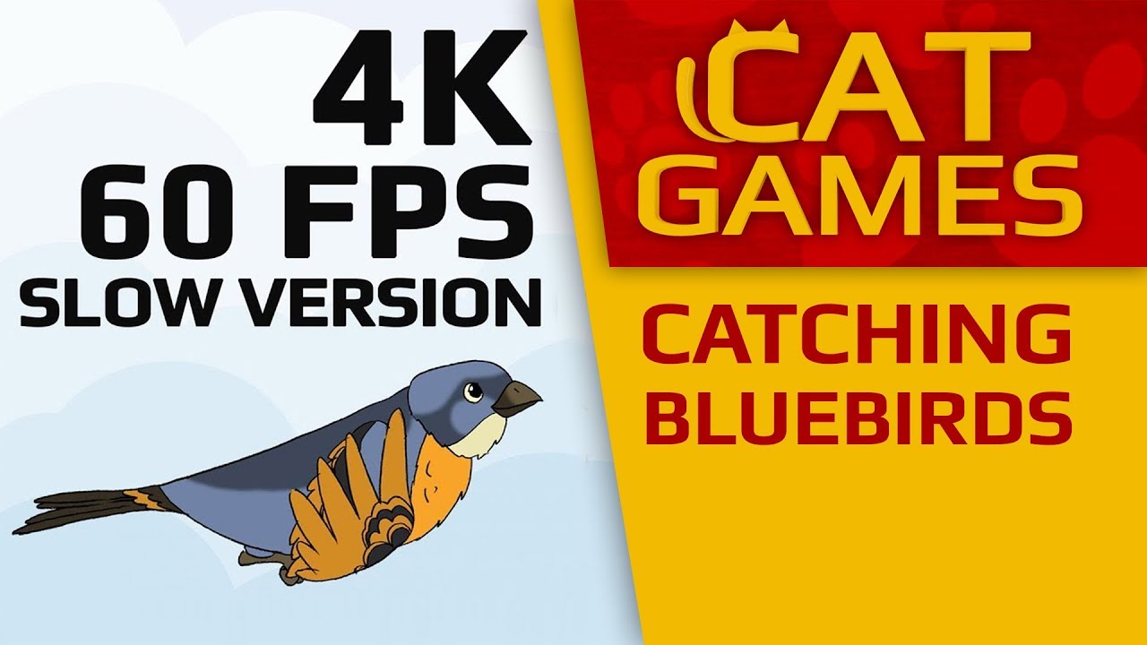 CAT GAMES - 🐦 CATCHING BLUEBIRDS (SLOW VERSION) 4K 60FPS - YouTube