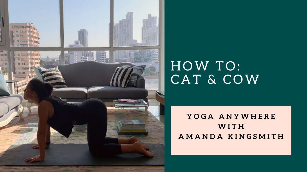 How to: Cat Cow - YouTube