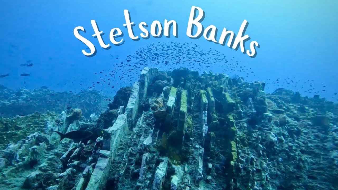 The Stetson Banks - YouTube