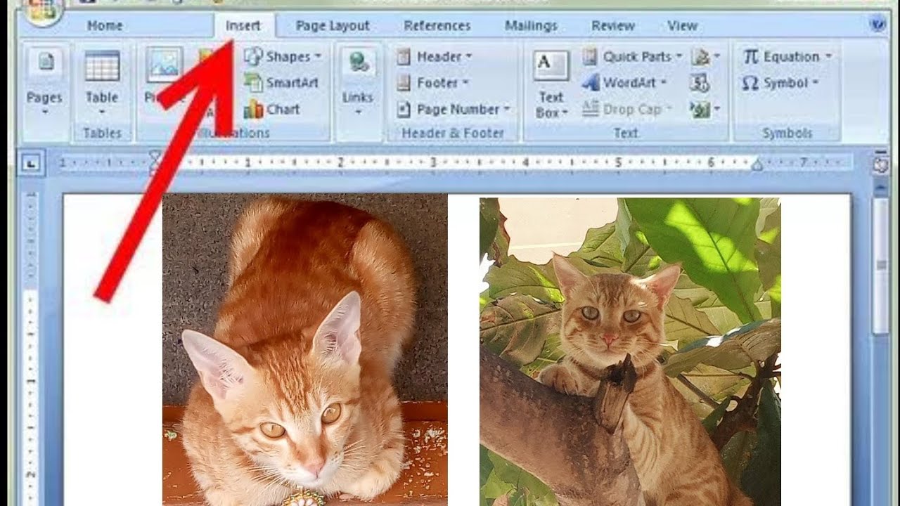 Insert Pictures in Word File|MS Word image inserter|How toadd image in ...