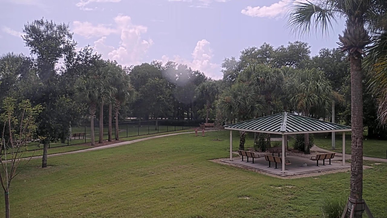 Cinquez Dog Park - West Cam - YouTube