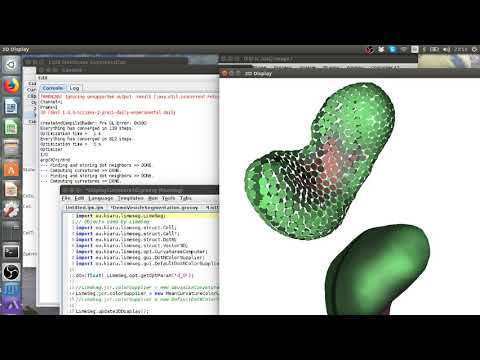Tutorial LimeSeg 7 - Computing surface curvature with LimeSeg / ImageJ / FIJI - YouTube