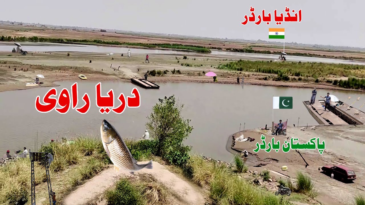 ravi dariya | Fish Hunter | Indo Pak Border | Hunting Fish | Zero-Line ...