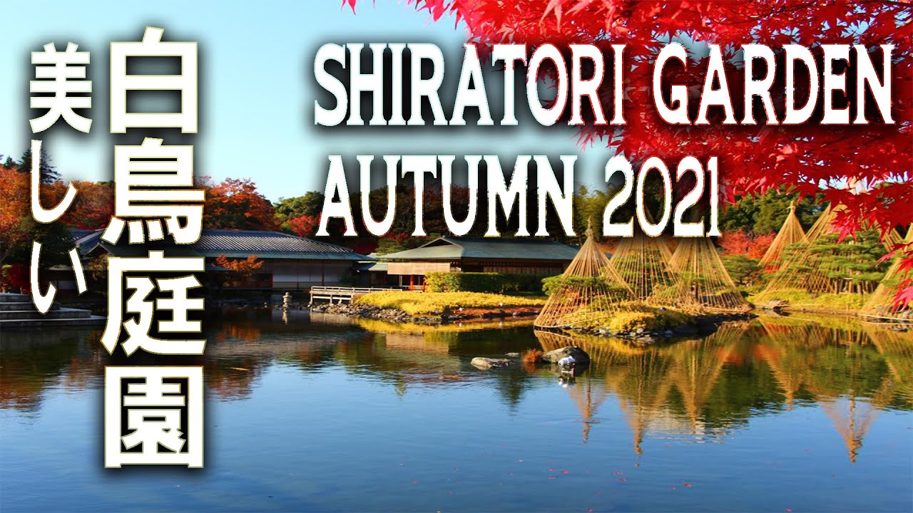 【4K】Walking around at Japanese Garden in Nagoya AUTUMN 2021 (Shirotori ...