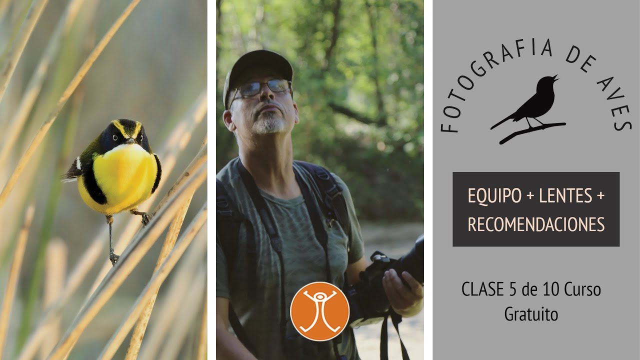 Fotografía de aves - Mis equipos, lentes y cámaras recomendadas - YouTube