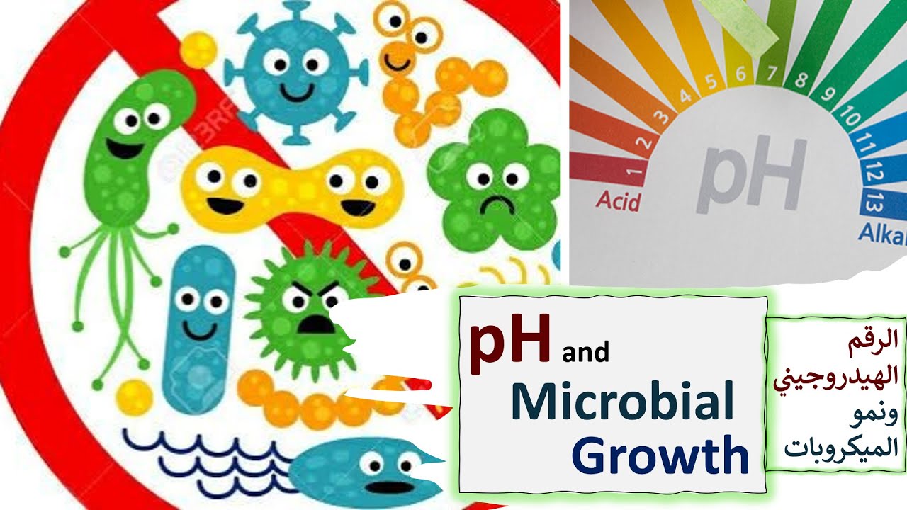 Lecture 9: pH and Microbial Growth الرقم الهيدروجيني ونمو الميكروبات ...