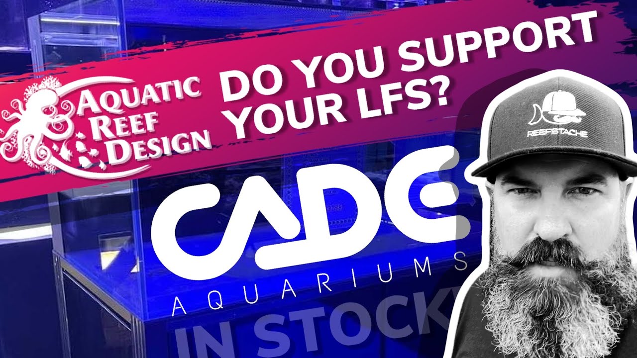 Do you support your LOCAL FISH STORE Aquatic Reef Design - CADE ...