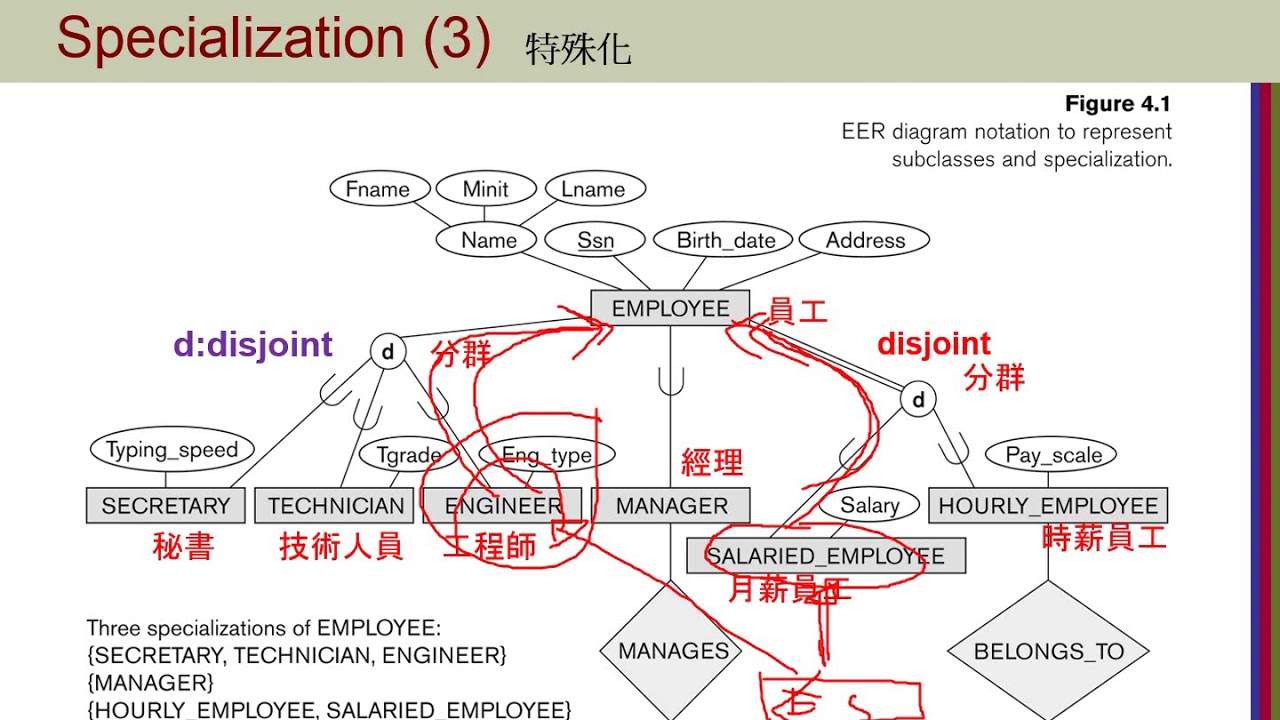 Chapter04-Enhanced Entity-Relationship Modeling-02 Specialization - YouTube