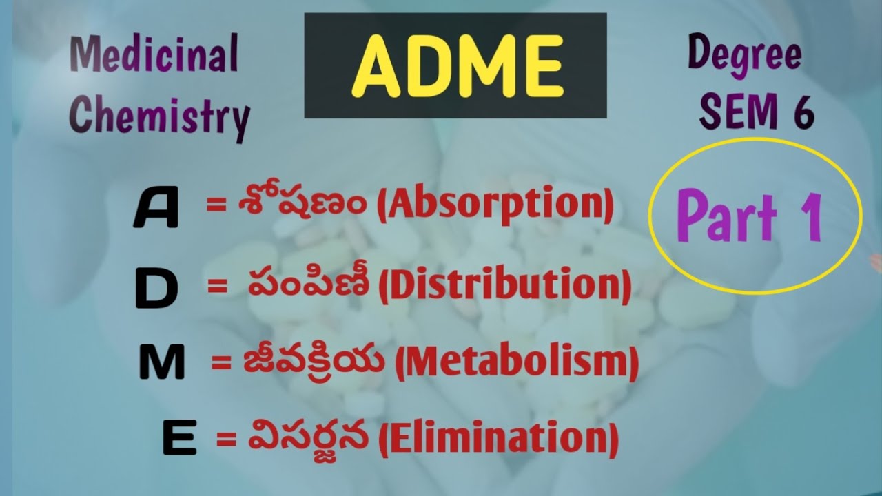 ADME of Medicine | Absorption, Distribution, Metabolism, Elimination ...