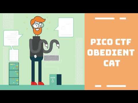 PICO CTF OBEDIENT CAT - YouTube