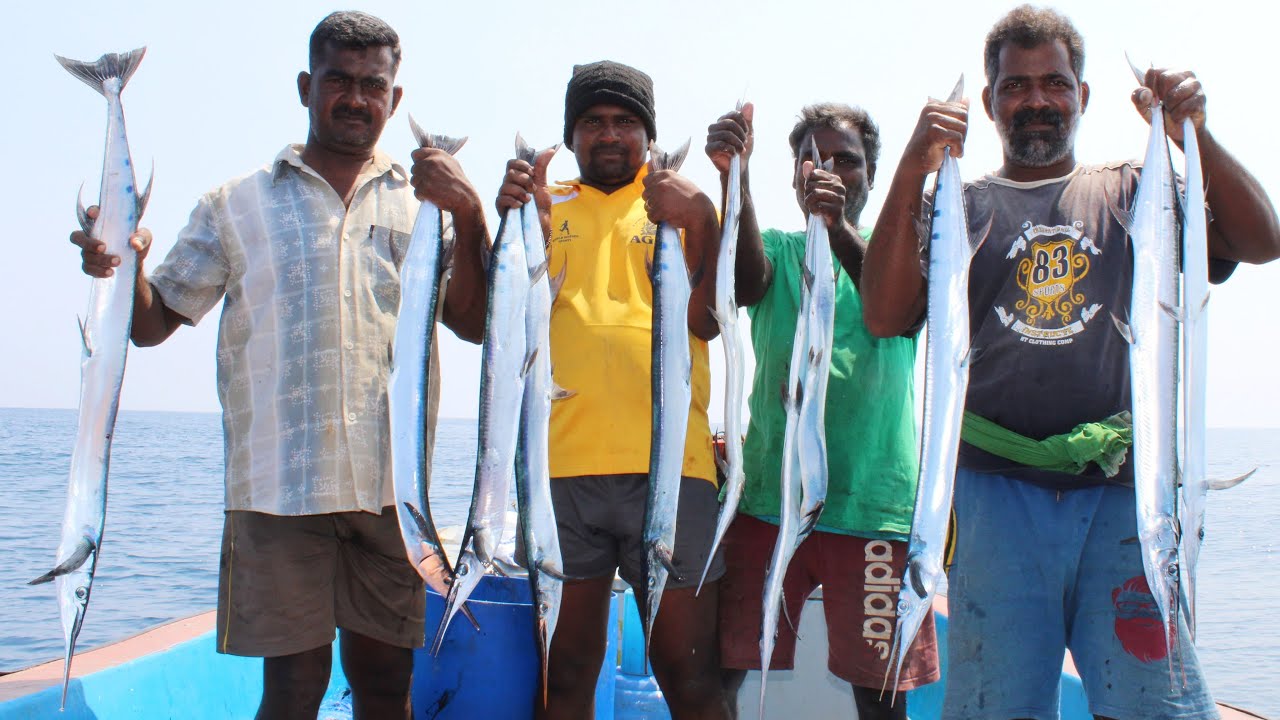 LOT OF GARFISH NEVER CAUGHT IN THE MULTIPLE HOOK FISHING RIGS - YouTube