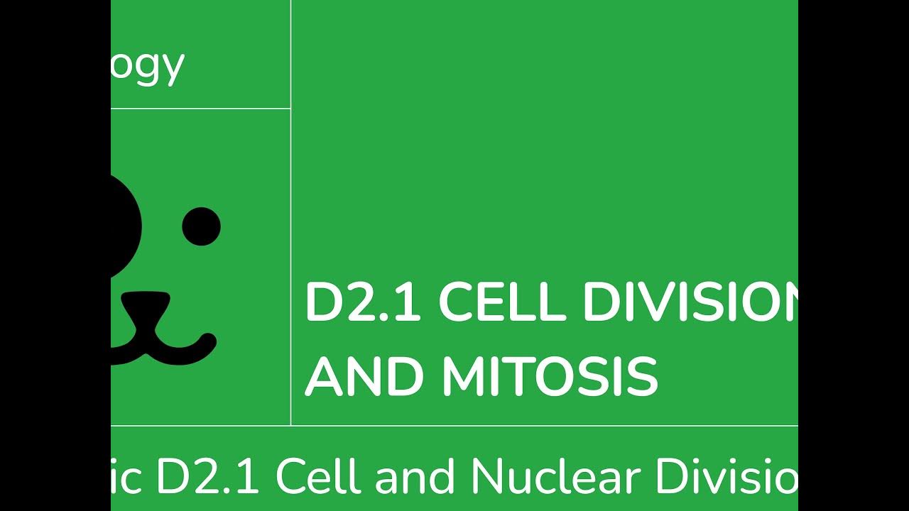 D2.1 Cell Division and Mitosis [IB Biology SL/HL] - YouTube