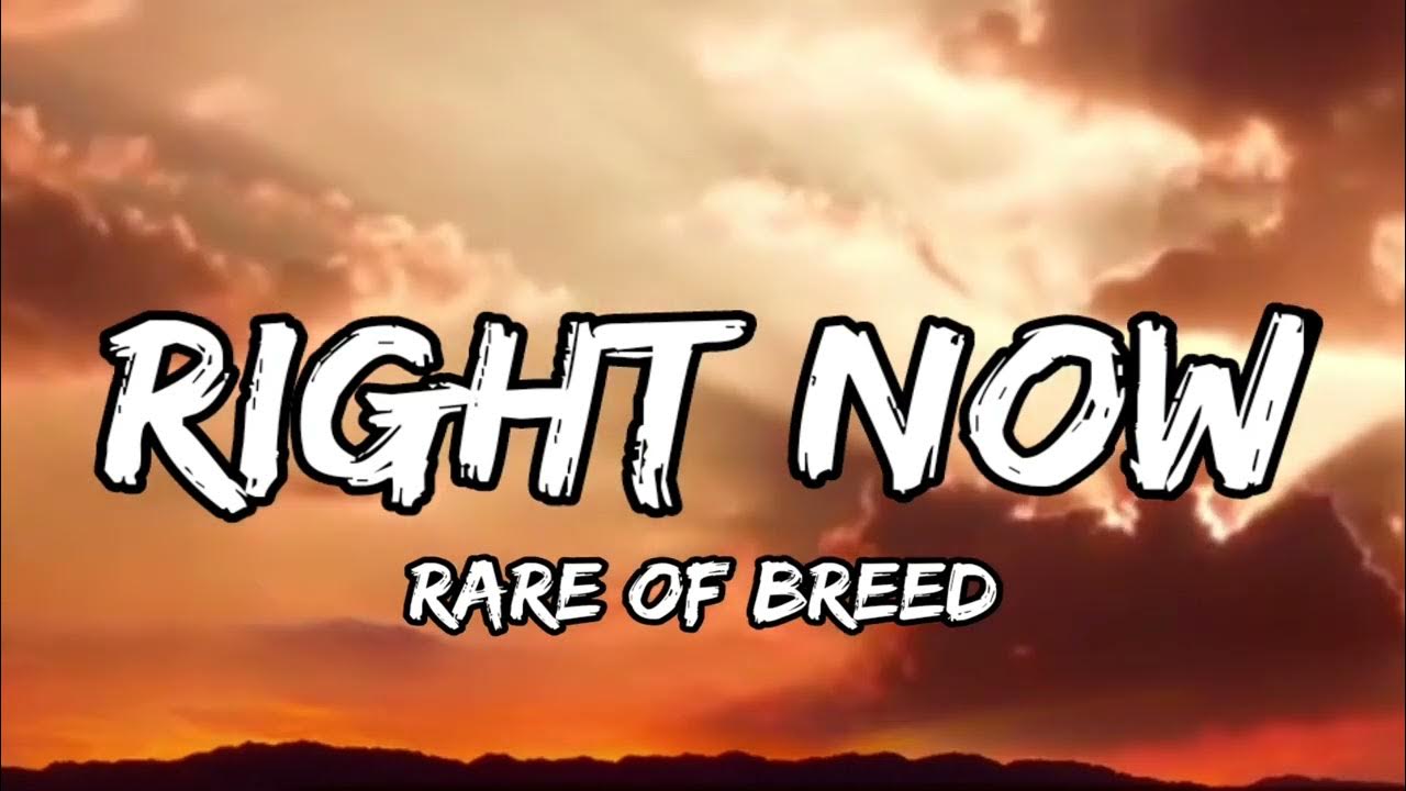 Rare of Breed - RIGHT NOW (LYRICS) - YouTube
