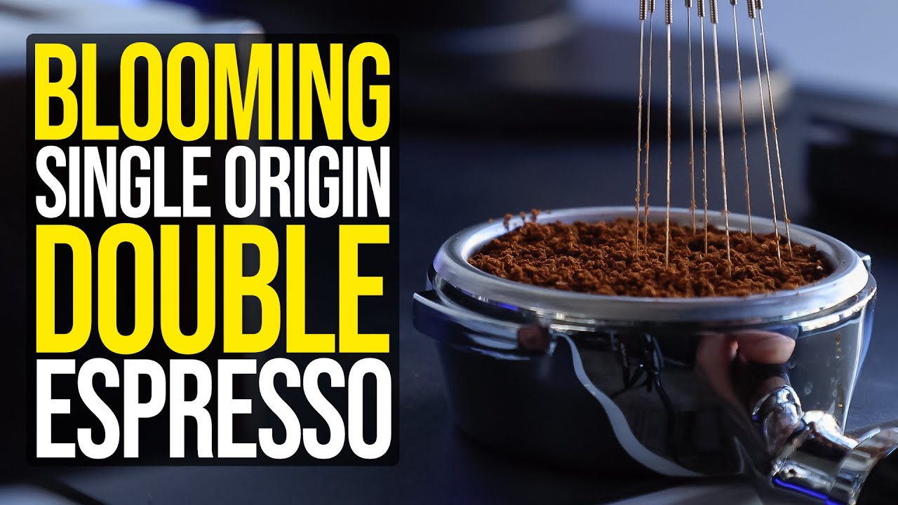 My Morning Routine | Blooming Single Origin Espresso - YouTube