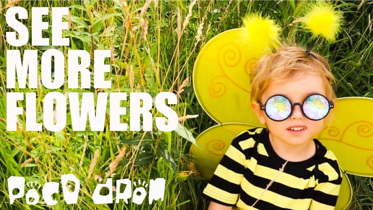 See More Flowers - POCO DROM [Official Video] kid friendly grunge about ...