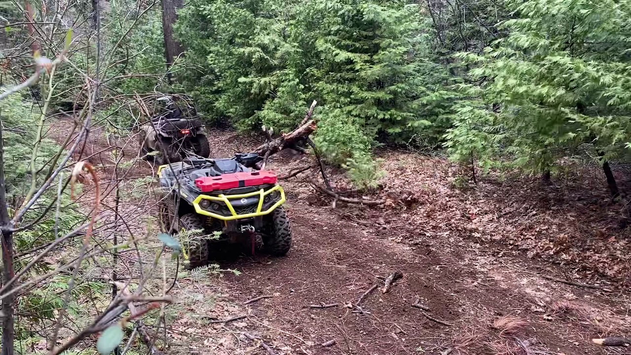 Pulling A Tree YouTube pulling-a-tree-youtube