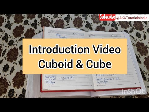 Understanding Cuboid & Cube | Class 9th | - YouTube