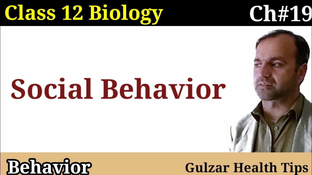 Social Behavior | Types of social Behavior | Behavior Class 12 Biology ...