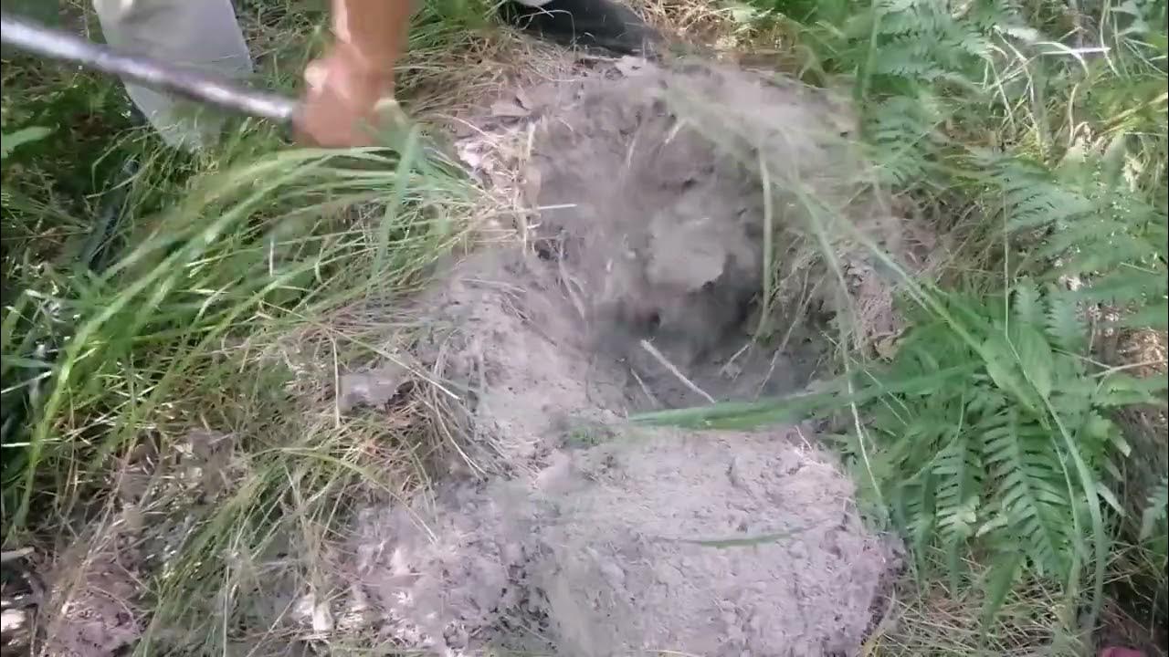 Пошук хутора🏡 Youtube