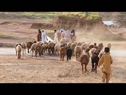 Village Life in Pakistan | Village Life Punjab Pakistan | Rural Life ...