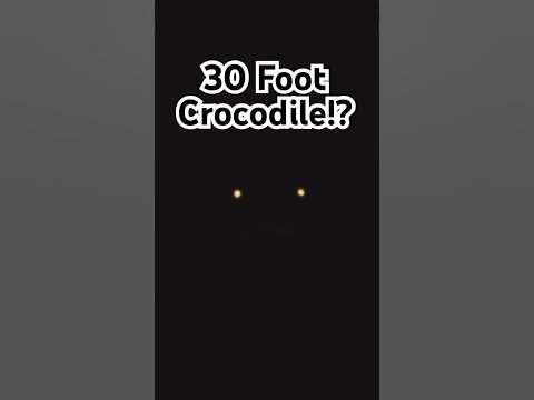 30 Foot Crocodile in Philippines - YouTube