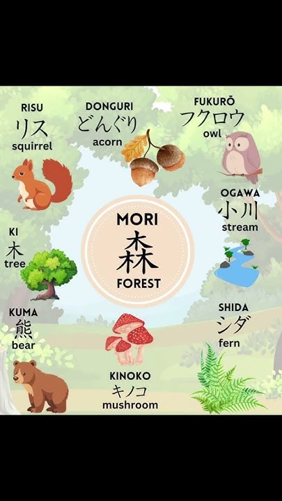 Forest Vocabulary /Kanji #forest #kanji #jlpt #n4 #n5 #sayitinjapanese ...