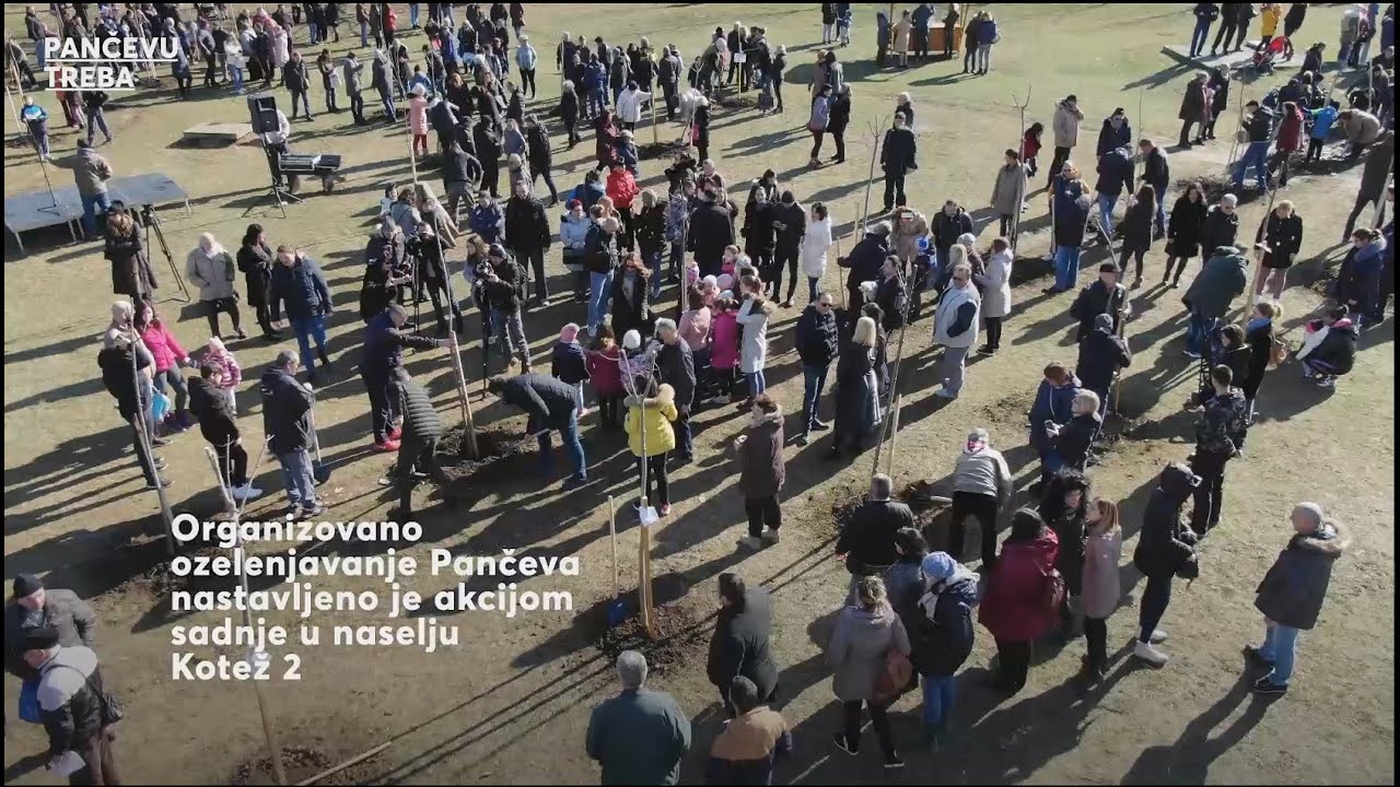 Sadnja drveca na Kotezu 2 - YouTube