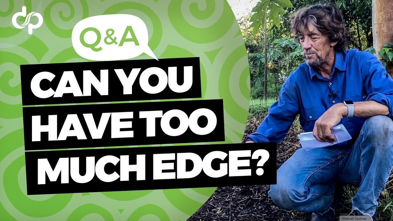 Edges in Permaculture: How Much is Too Much? - YouTube
